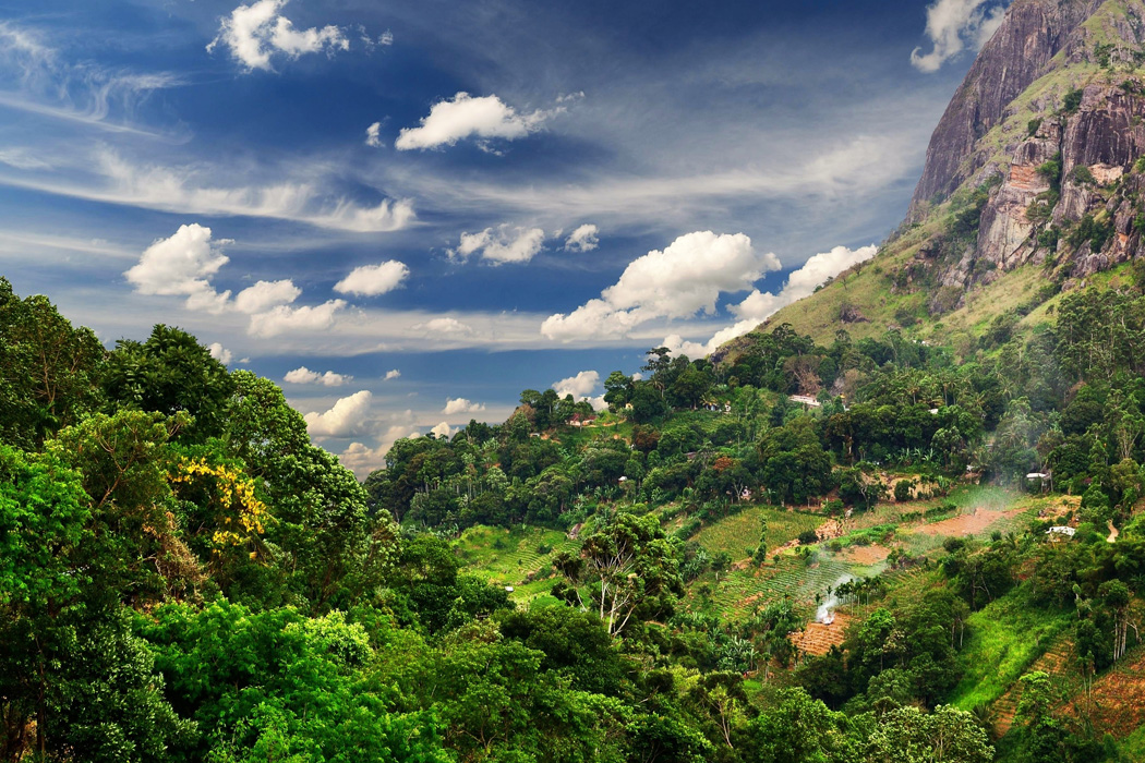 Sri Lanka Turu THY ile / 5 Gece Otel Konaklamalı / İstanbul Çıkışlı